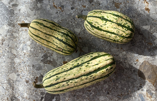 Espèce de cucurbitacée ! Légume, courge, star de l'automne