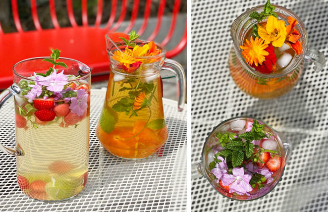 Thé glacé maison | La recette de la boisson rafraichissante