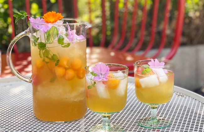 Thé glacé maison | La recette de la boisson rafraichissante