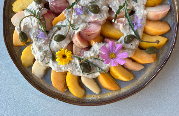 Pêche au thon | Une recette de grand-mère