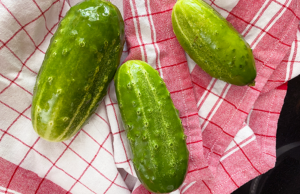 Comment conserver des cornichons ? Recettes faciles